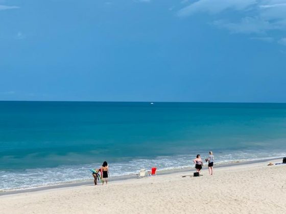 Wonderful Wabasso - Florida Fun Travel